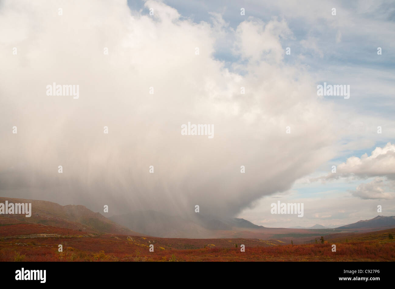 Primrose ridge denali national park hi-res stock photography and images ...