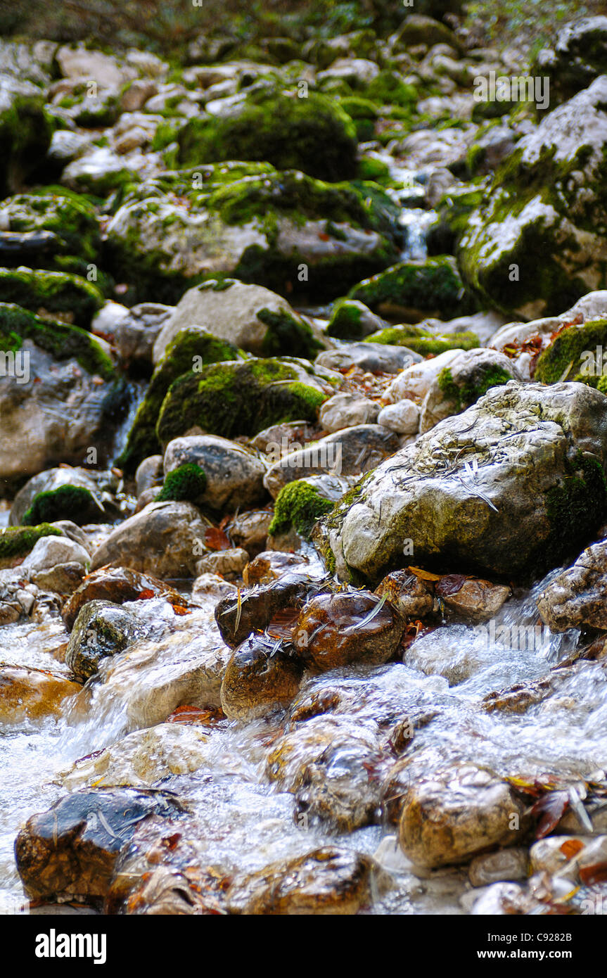 Stream with stones hi-res stock photography and images - Alamy