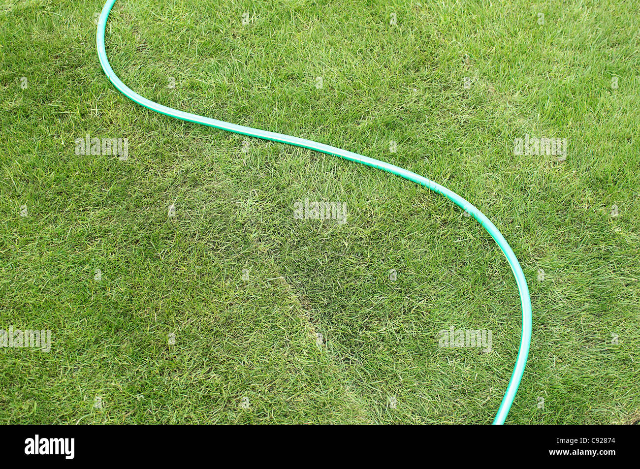 Hose on lawn Stock Photo - Alamy