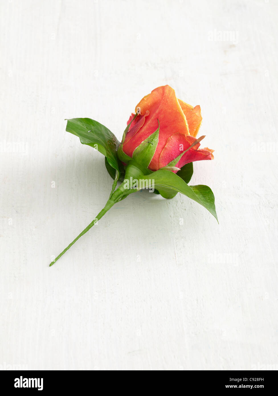 Flower buttonhole hi-res stock photography and images - Alamy