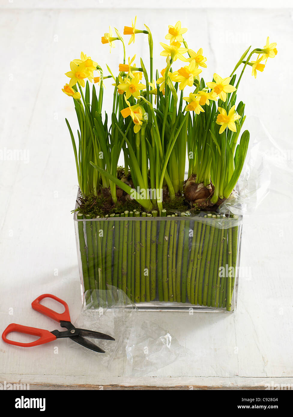 Container lining hi-res stock photography and images - Alamy