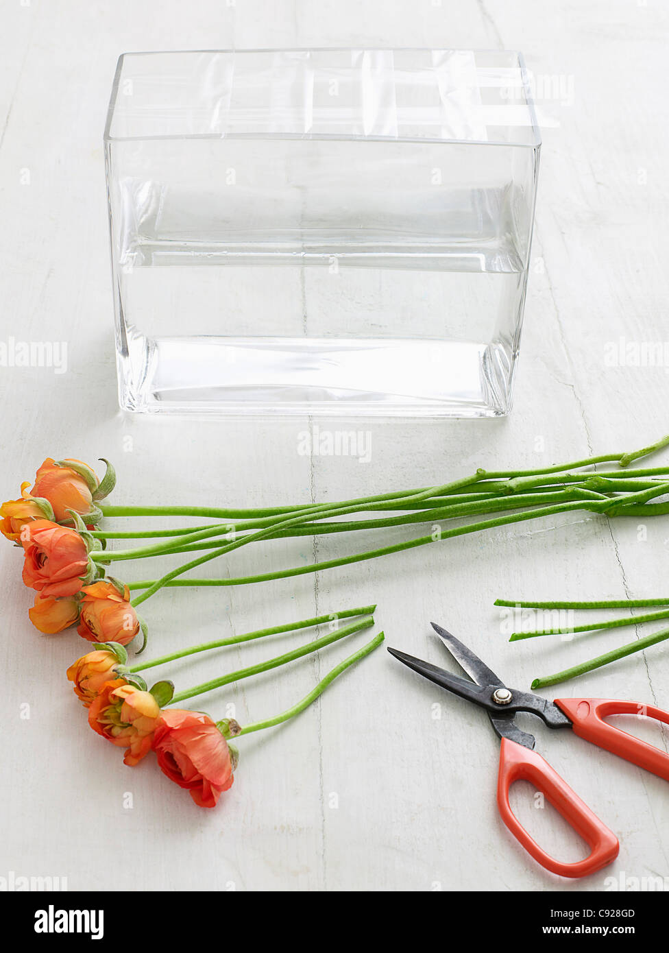 Peonies ready to be arranged in glass container, lined with plastic ...