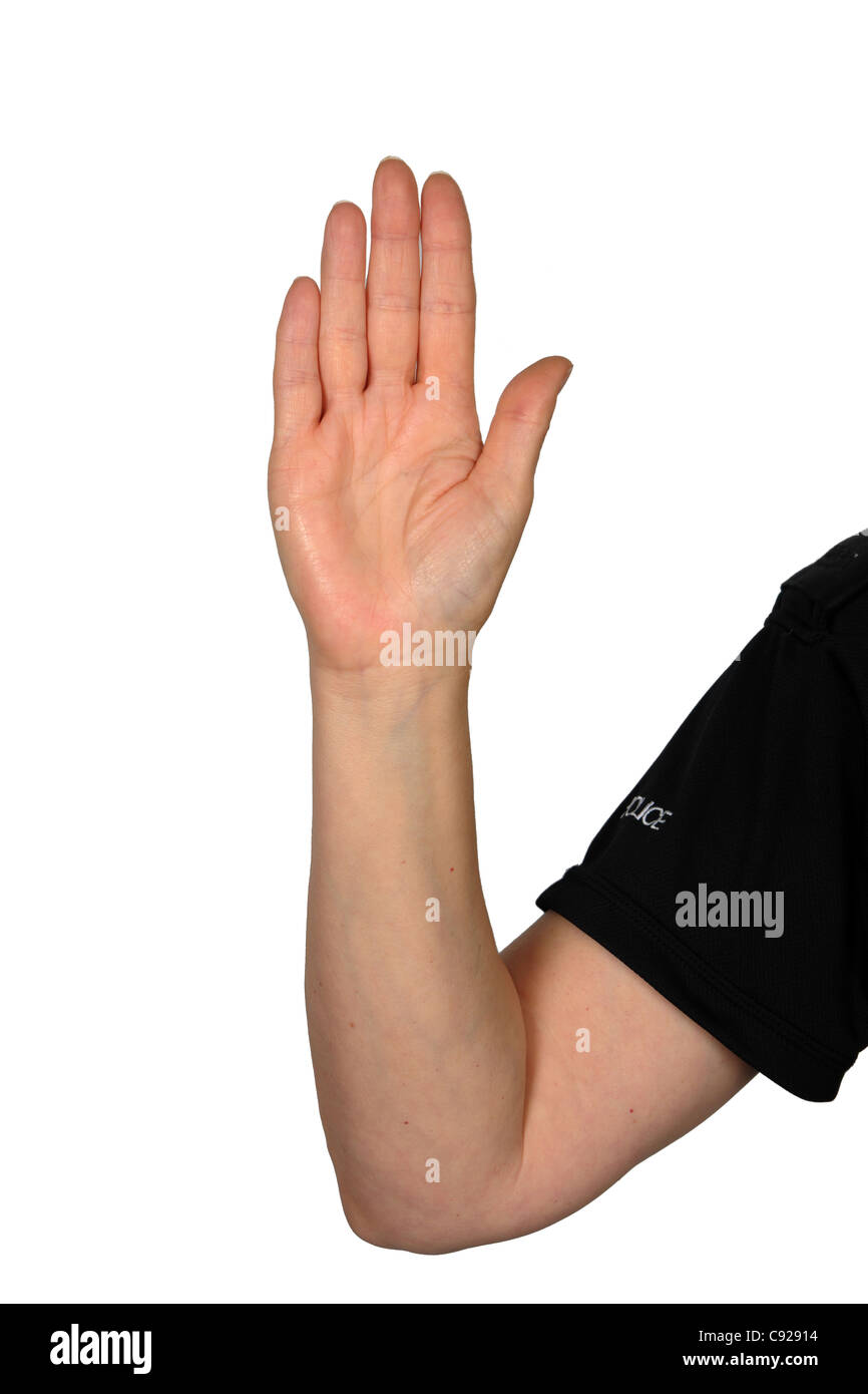 Oath of allegiance hi-res stock photography and images - Alamy