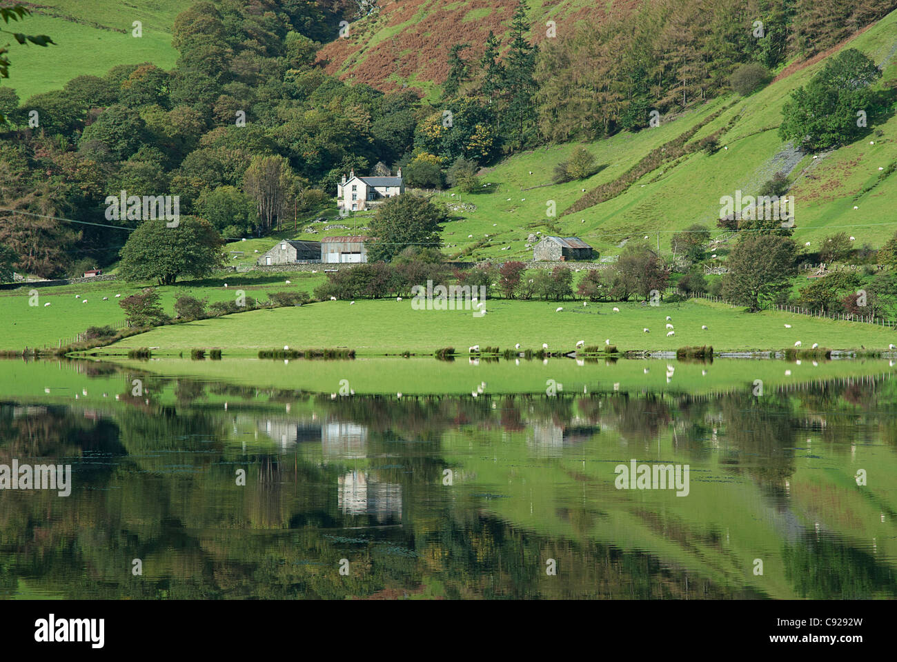 Great Britain, Wales, Tal-y-Llyn Lake (Llyn Mwyngil Stock Photo - Alamy Great Britain, Wales, Tal-y-Llyn Lake (Llyn Mwyngil Stock Photo - Alamy