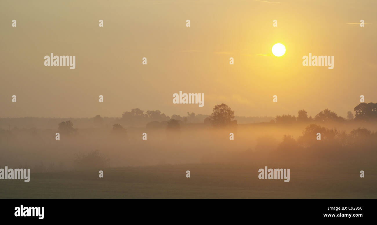 Misty morning sunrise Stock Photo - Alamy