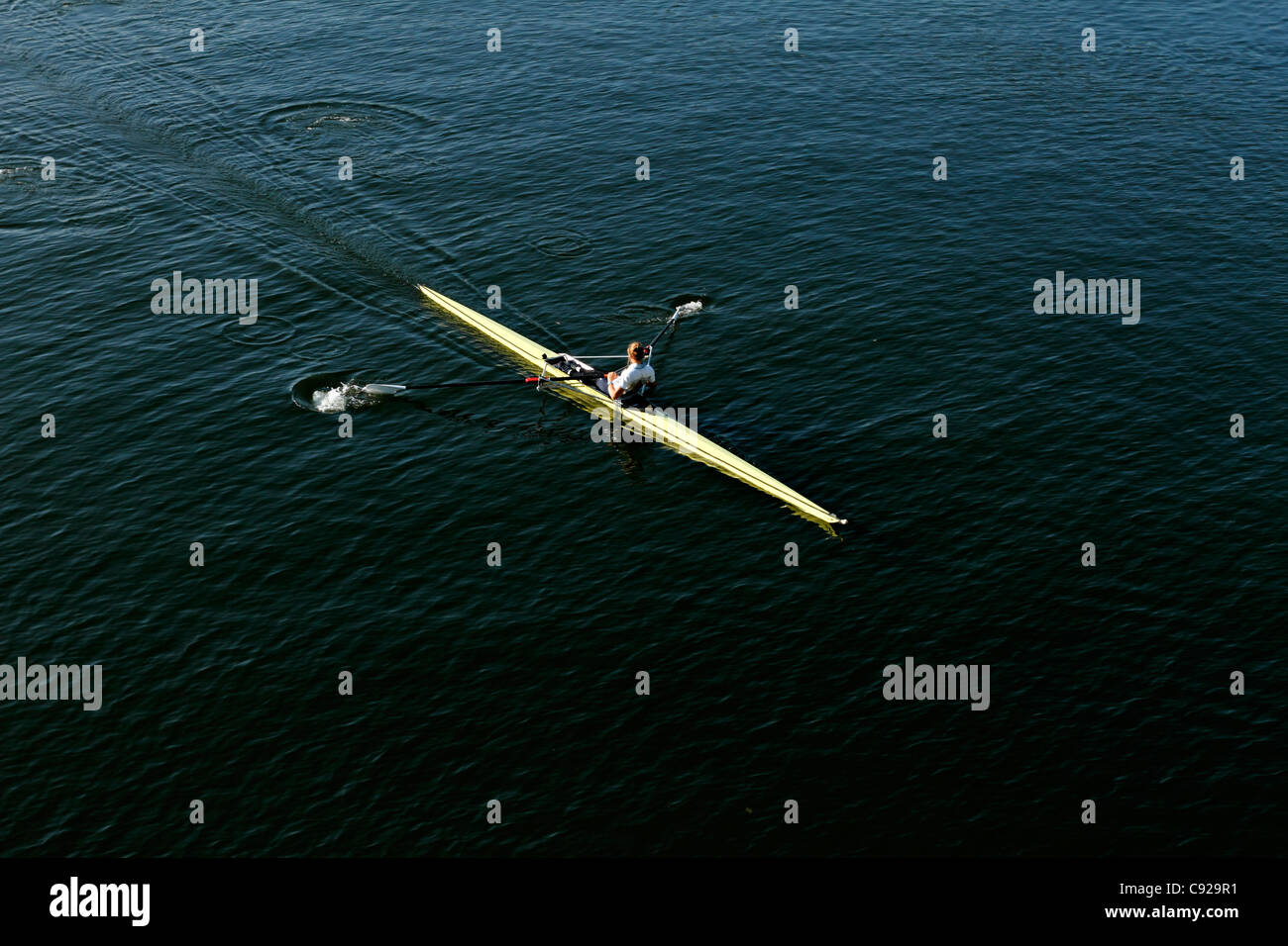 Rowing Skiff High Resolution Stock Photography and Images - Alamy