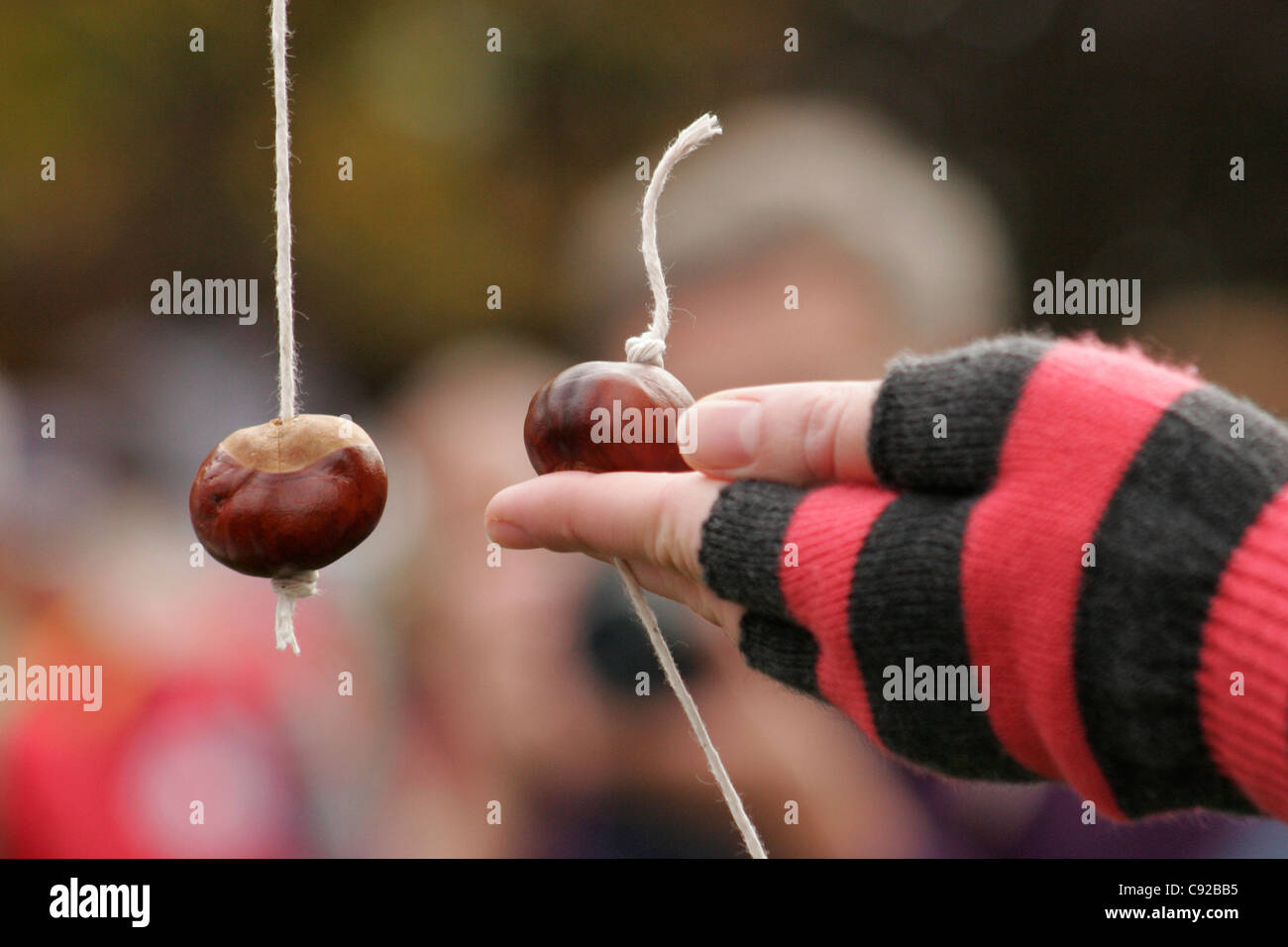 The quirky annual World Conker Championships, held at New Lodge Fields ...