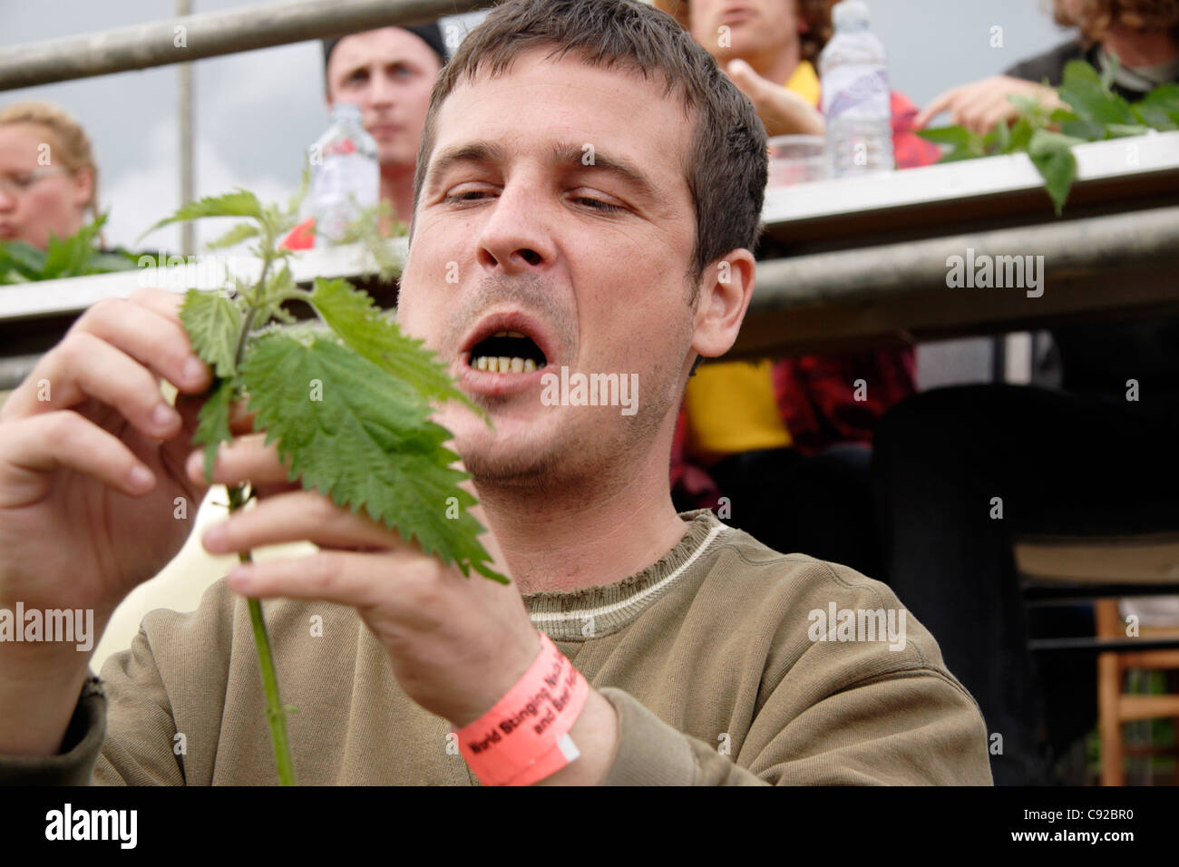 The quirky annual World Stinging Nettle Eating Championship, held at ...