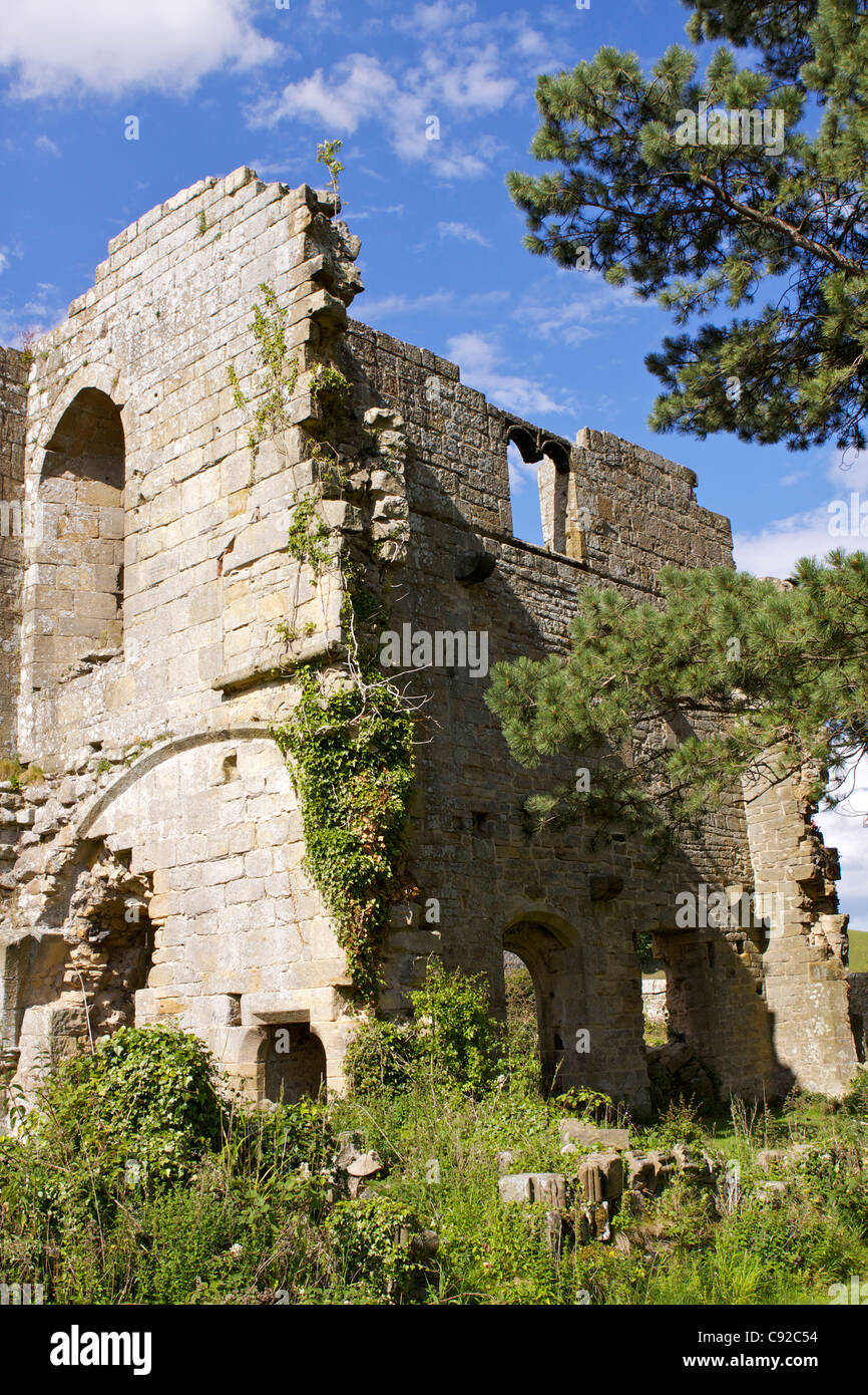 The stone ruins of Jervaulx Abbey, founded in 1156 by Cistercian monks ...