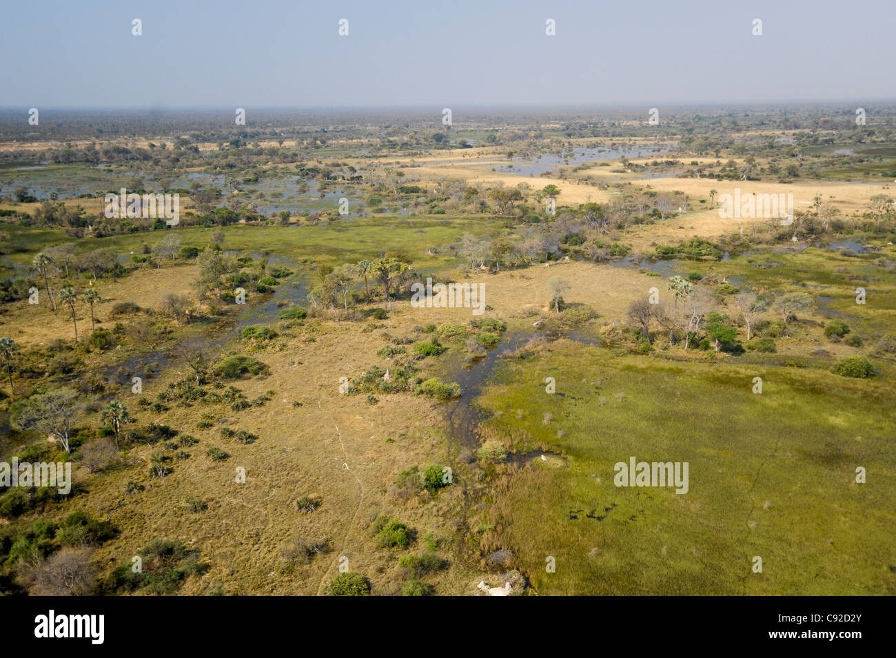 Okavango swamp hi-res stock photography and images - Alamy