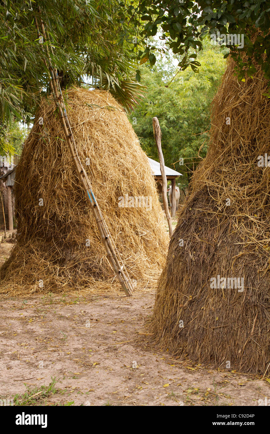 Building hay stacks hi-res stock photography and images - Alamy