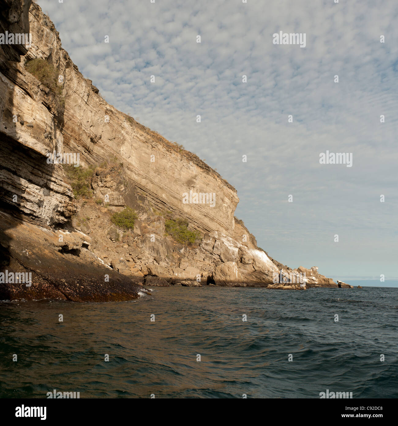 Tagus Cove, Isabela Island, Galapagos Islands, Ecuador Stock Photo - Alamy