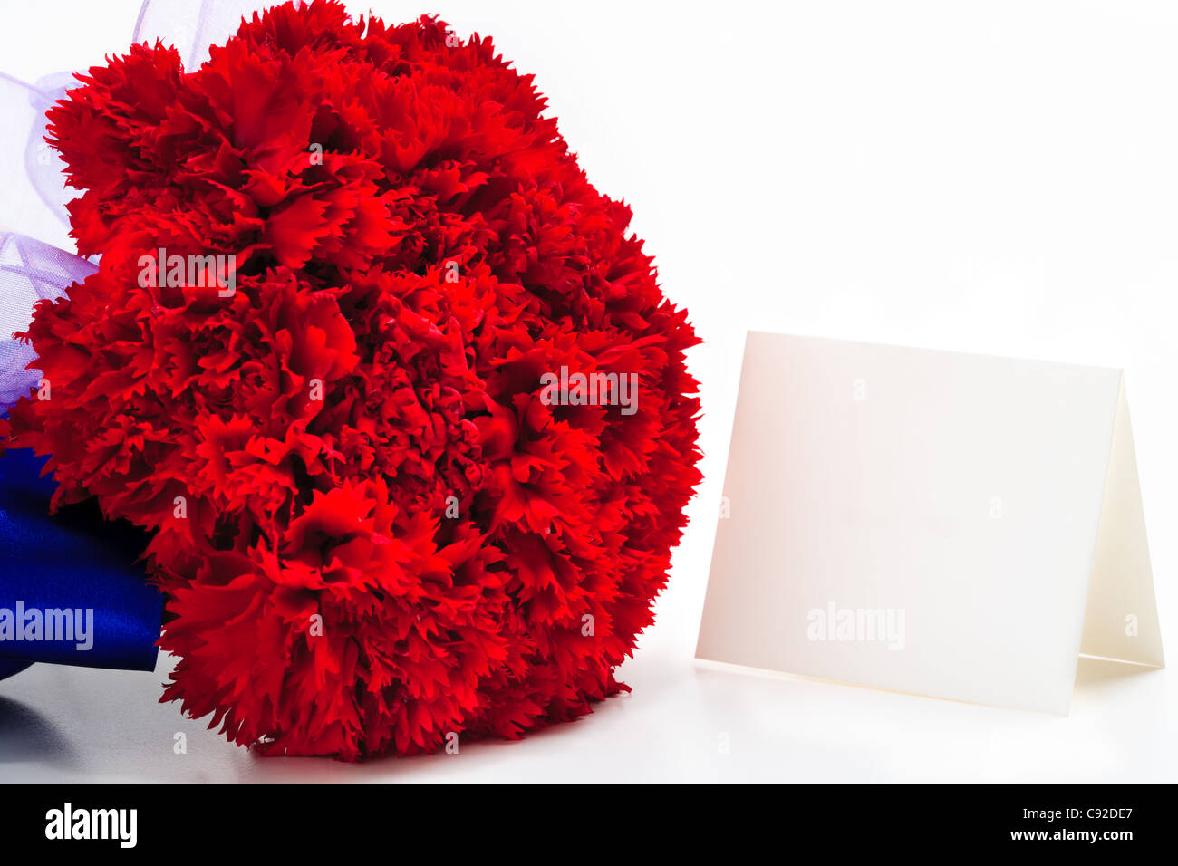 Bouquet of red flowers with blue ribbon with greeting card Stock Photo ...