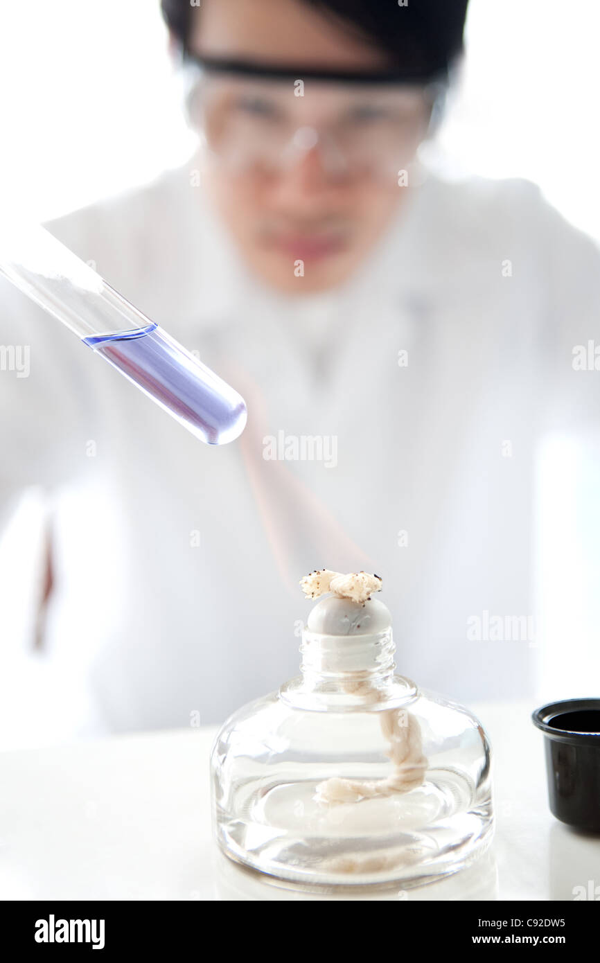 Scientist holding test tube over burner Stock Photo - Alamy