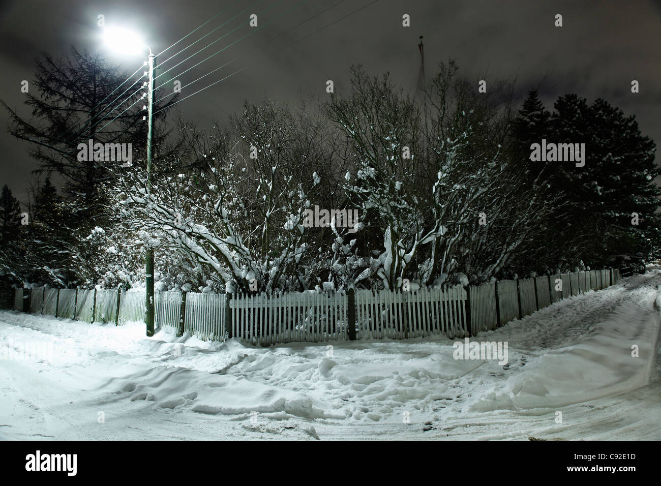 Snow covered picket fence and trees Stock Photo - Alamy