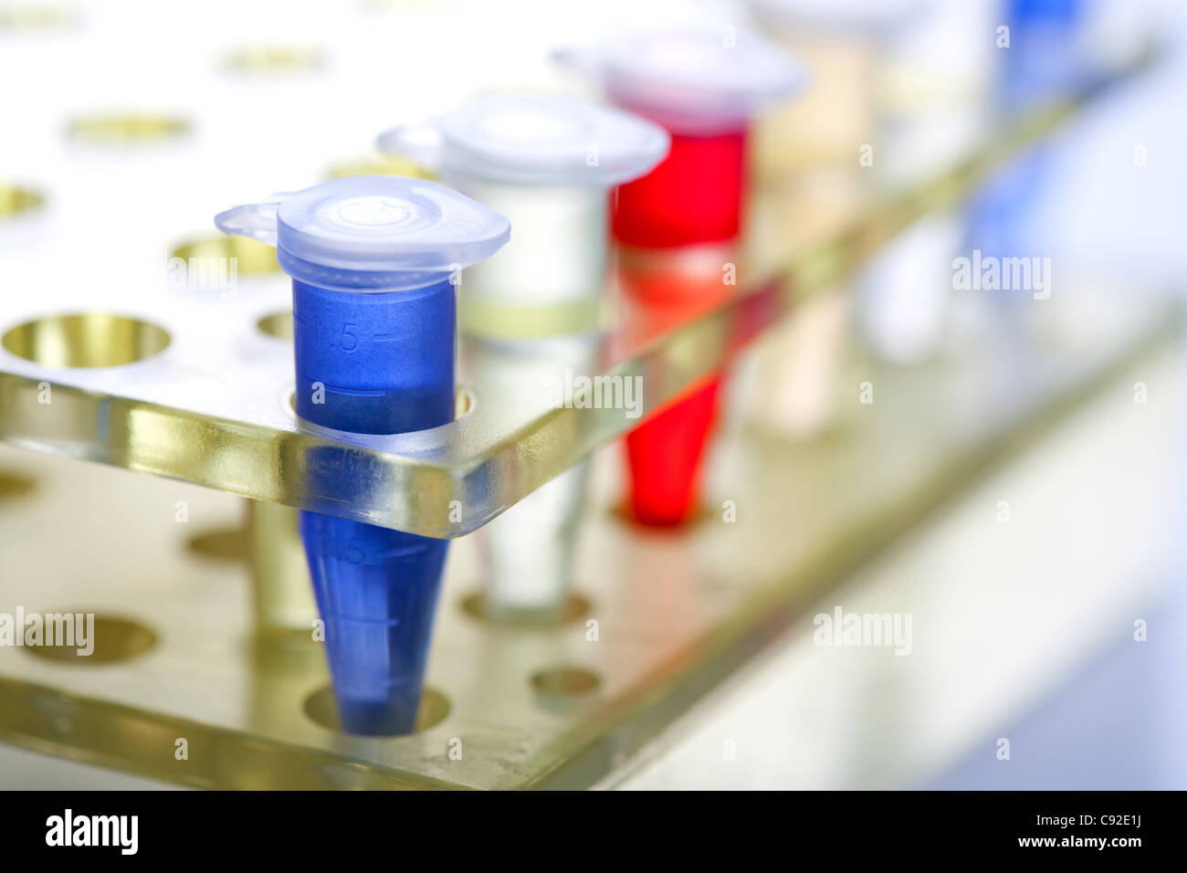 Test tubes arranged in rows, close-up Stock Photo - Alamy
