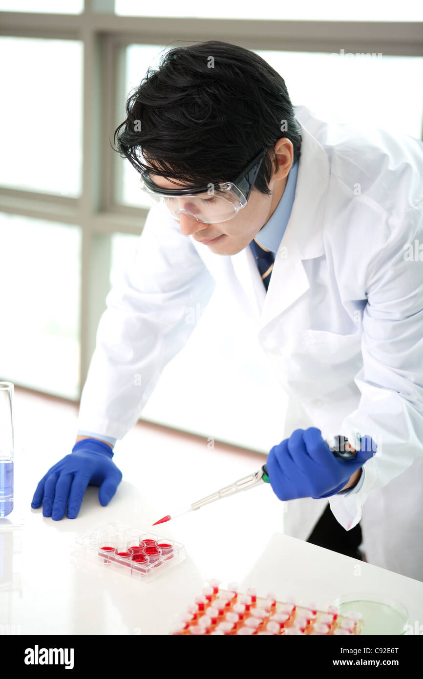 Scientist performing an experiment in the lab with test tube and ...