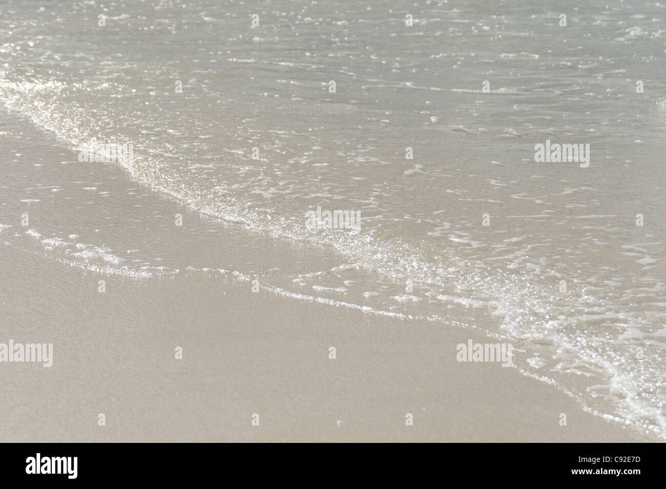 Beach, Gardner Bay, Espanola Island, Galapagos Islands, Ecuador Stock ...