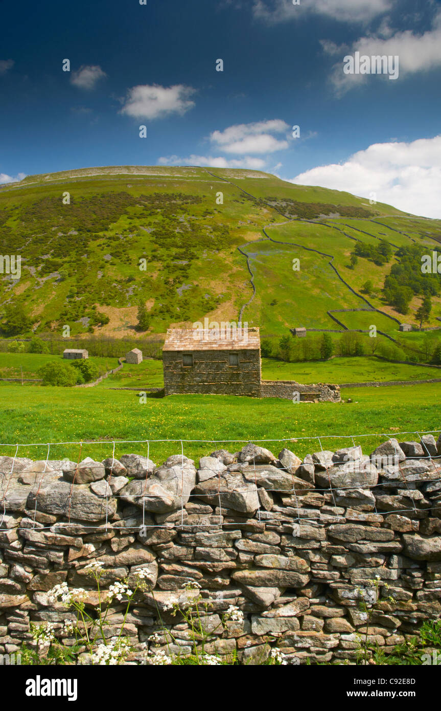 Areas of the Yorkshire Dales, particularly Swaledale, have well ...