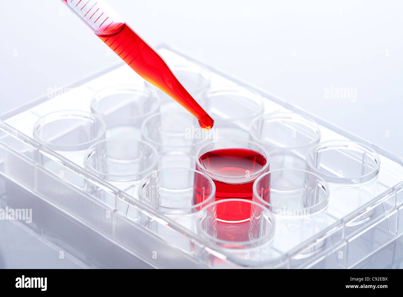 Liquid drops falling from pipette to test tube Stock Photo - Alamy