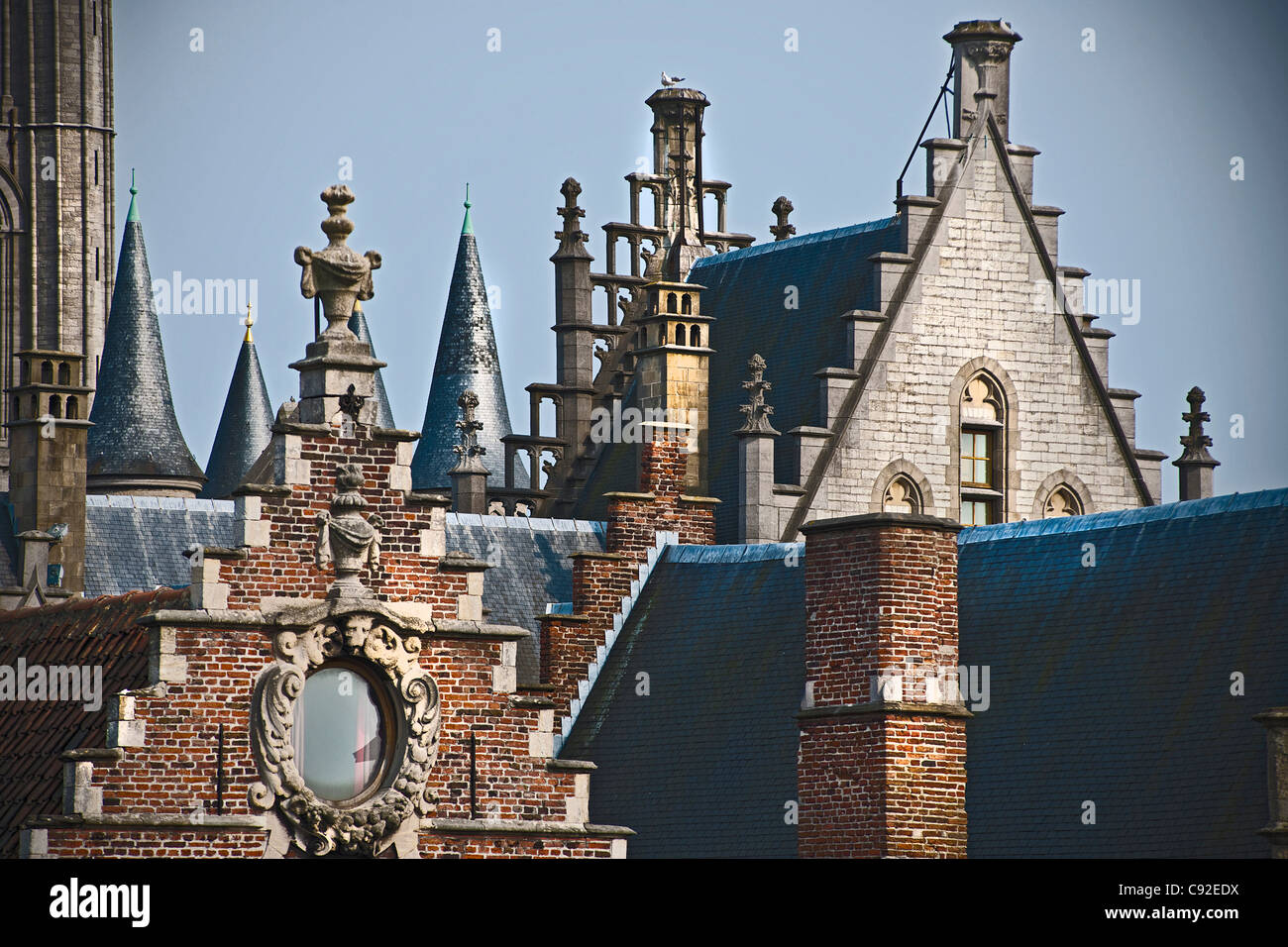 Brick rooftops of ornate buildings Stock Photo - Alamy