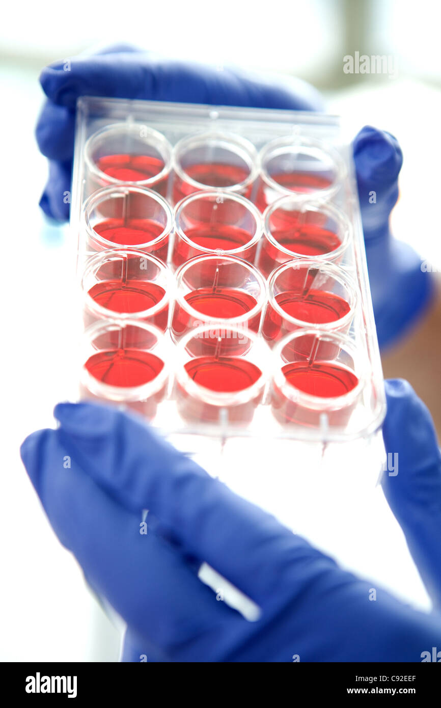 Human hand holding test tube rack, close-up Stock Photo - Alamy