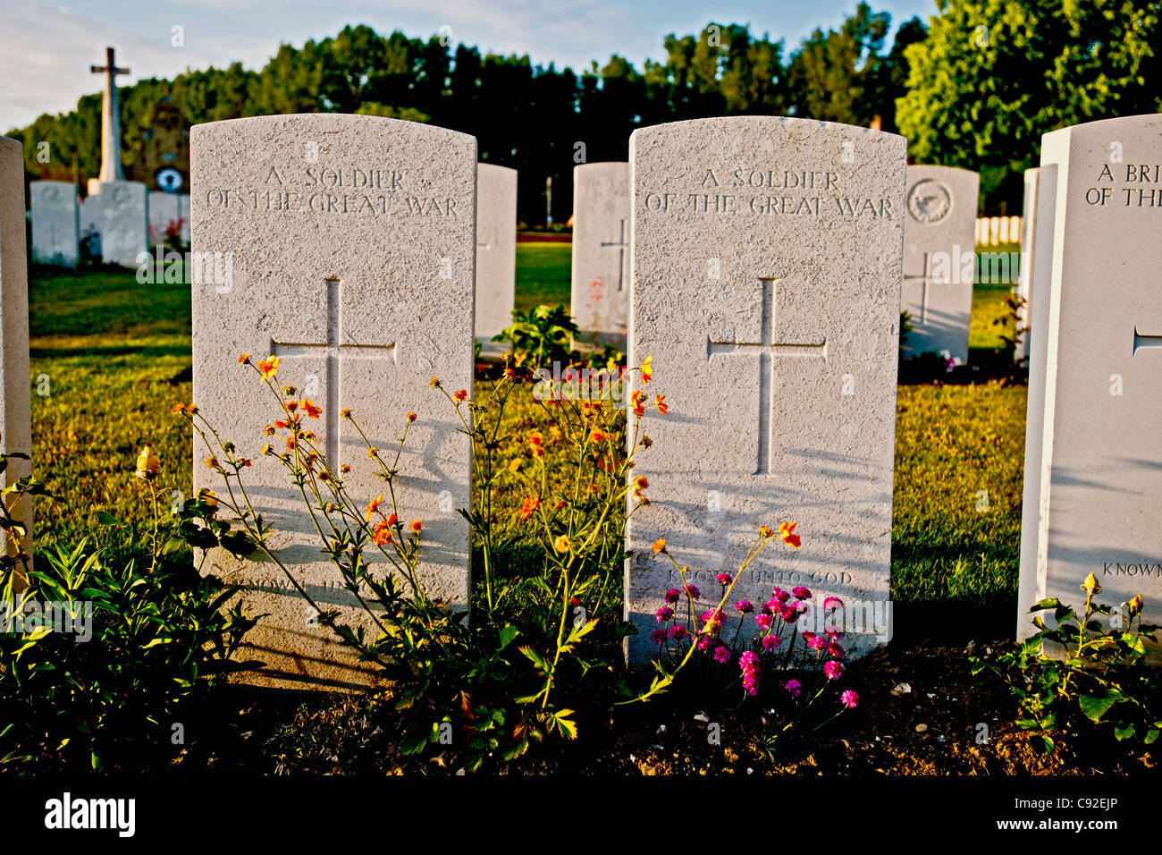 Close up of soldier's headstones Stock Photo - Alamy