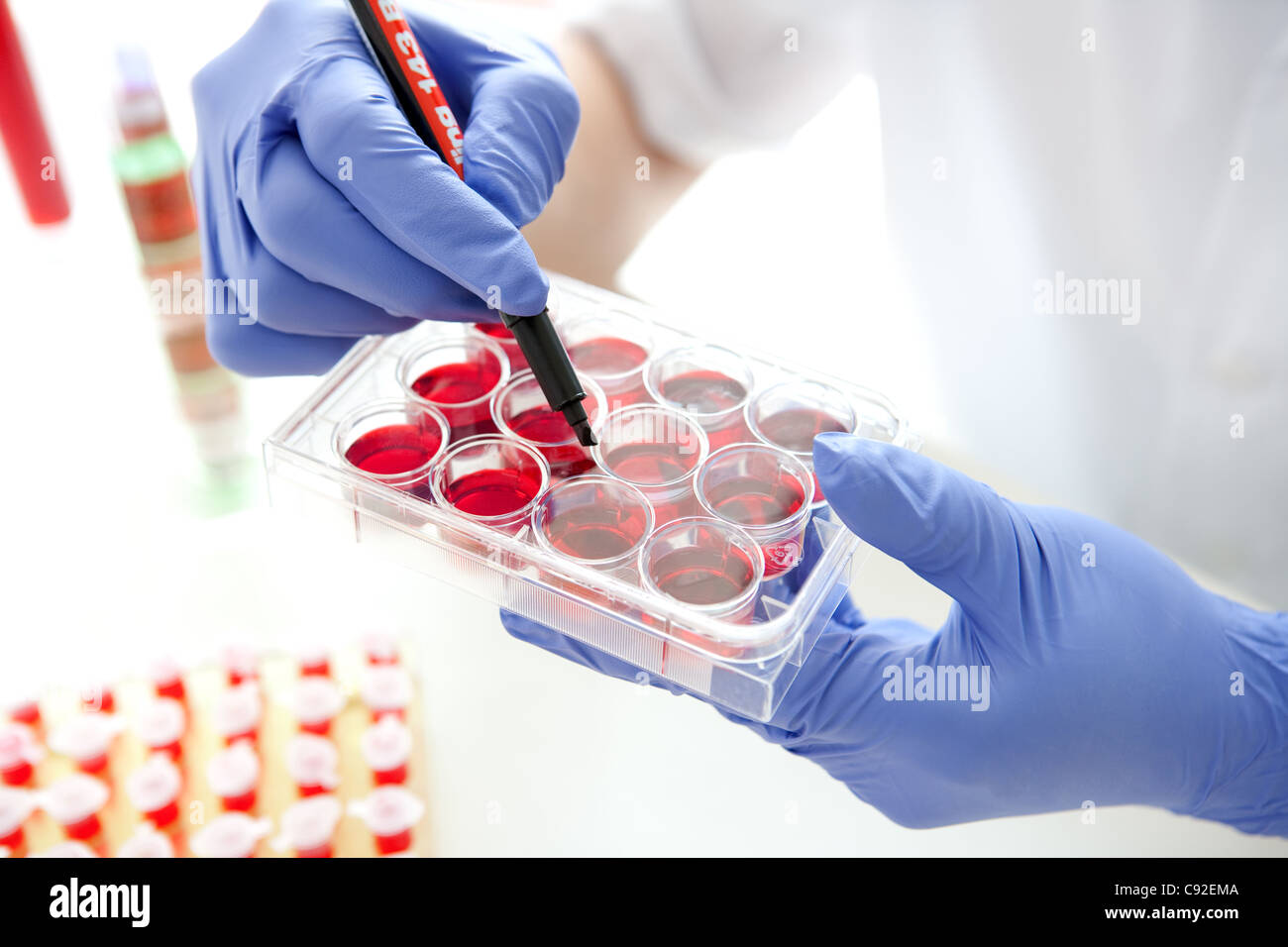 Human hand marking test tube with a pen, close-up Stock Photo - Alamy