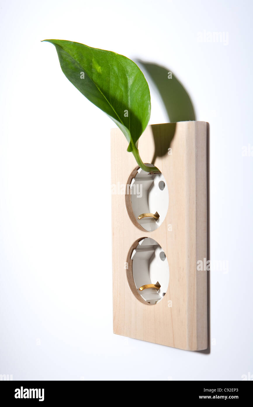 Green plant coming out of wall plug Stock Photo - Alamy