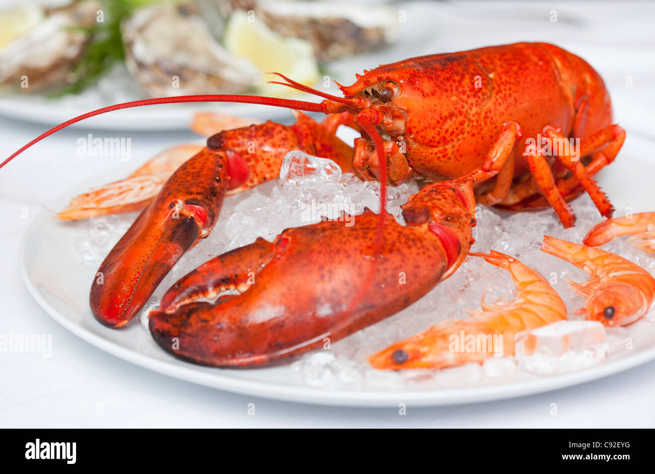Lobster container hi-res stock photography and images - Alamy