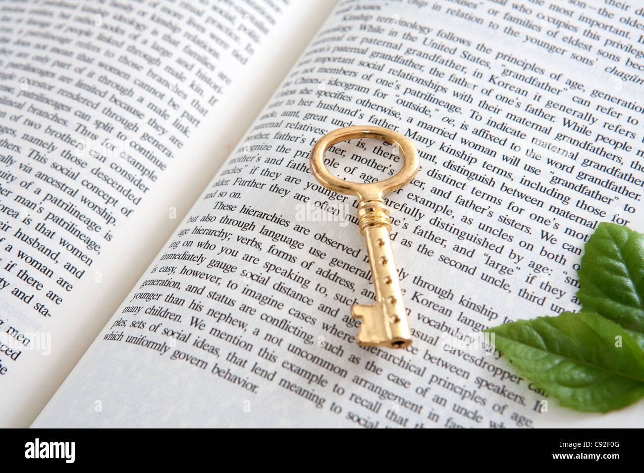Leaf book key hi-res stock photography and images - Alamy