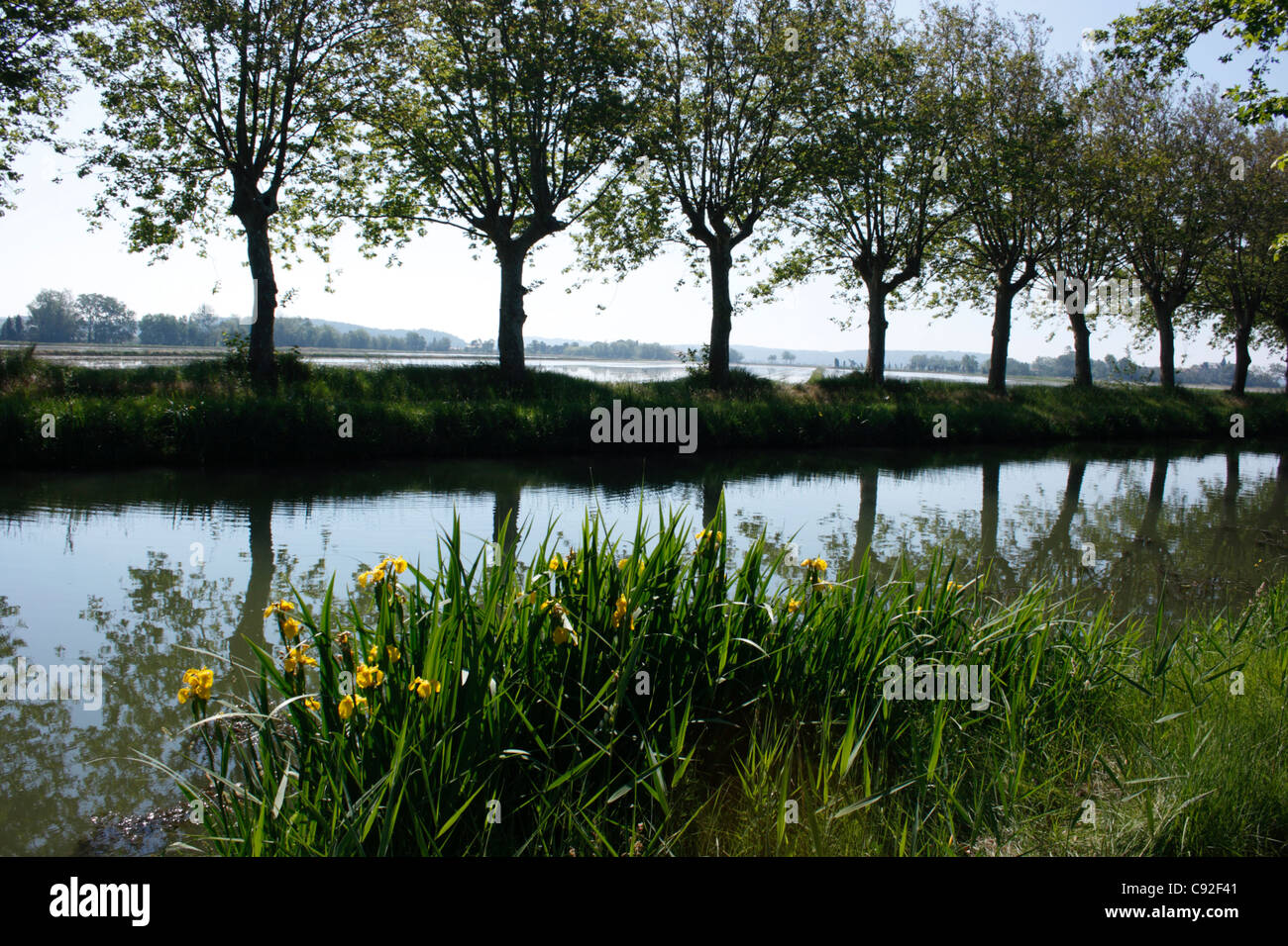 The Canal de la Robine was completed in the 18th century, which links ...