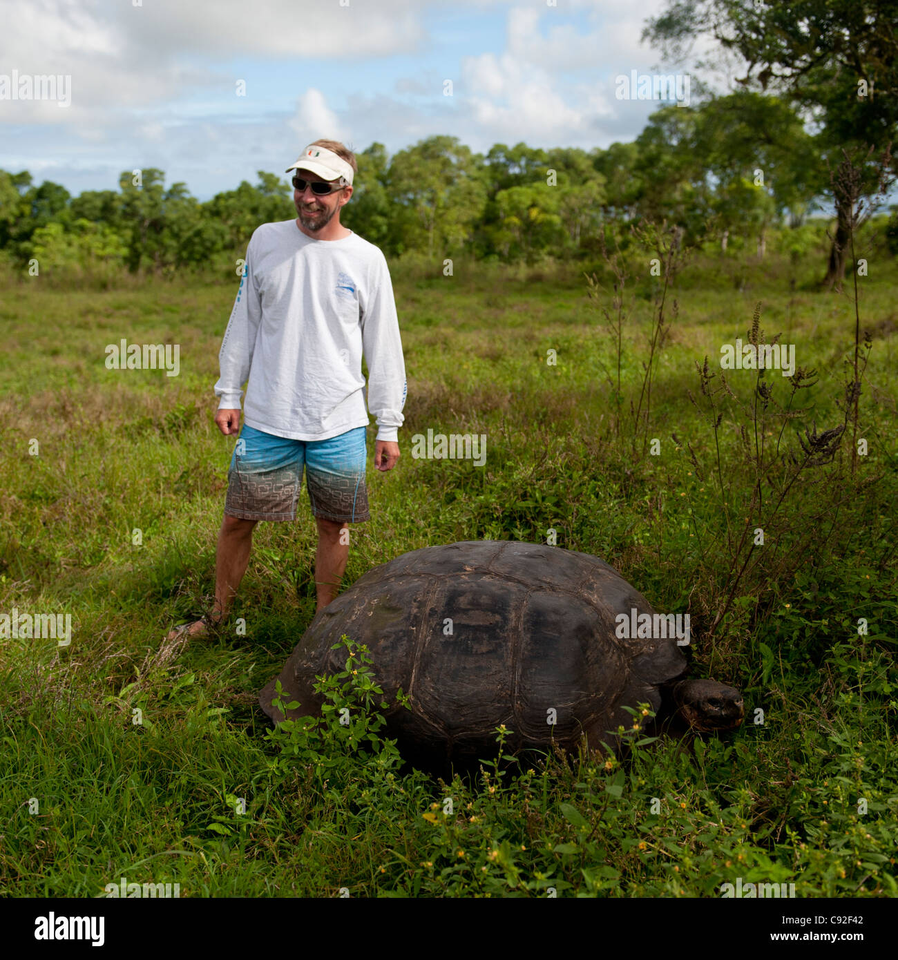 Tourist standing near a Giant tortoise, Santa Cruz Island, Galapagos ...