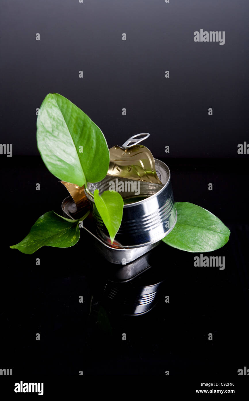 An open empty can Stock Photo - Alamy