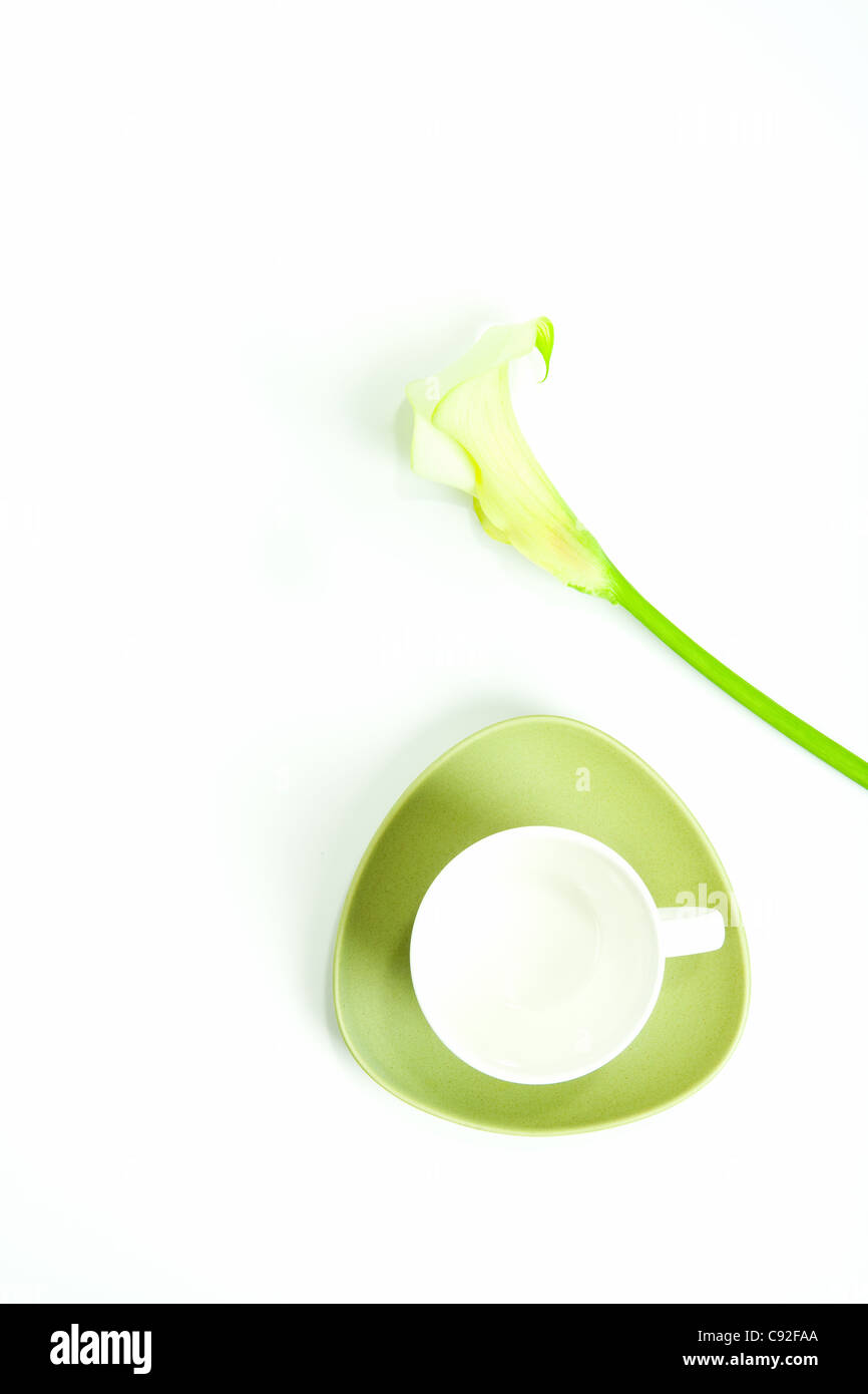 Teacup dish flower hi-res stock photography and images - Alamy