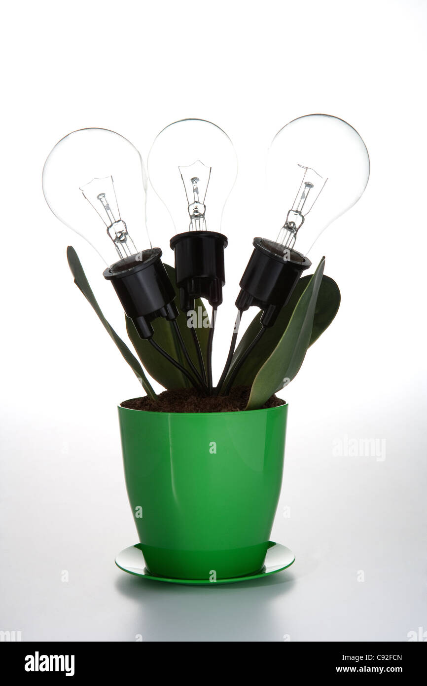 Three light bulb kept in coffee mug Stock Photo - Alamy