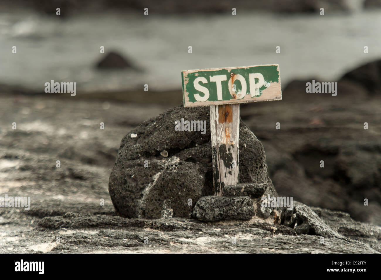 Stop sign marks the end of the line for tourists, Punta Espinoza ...