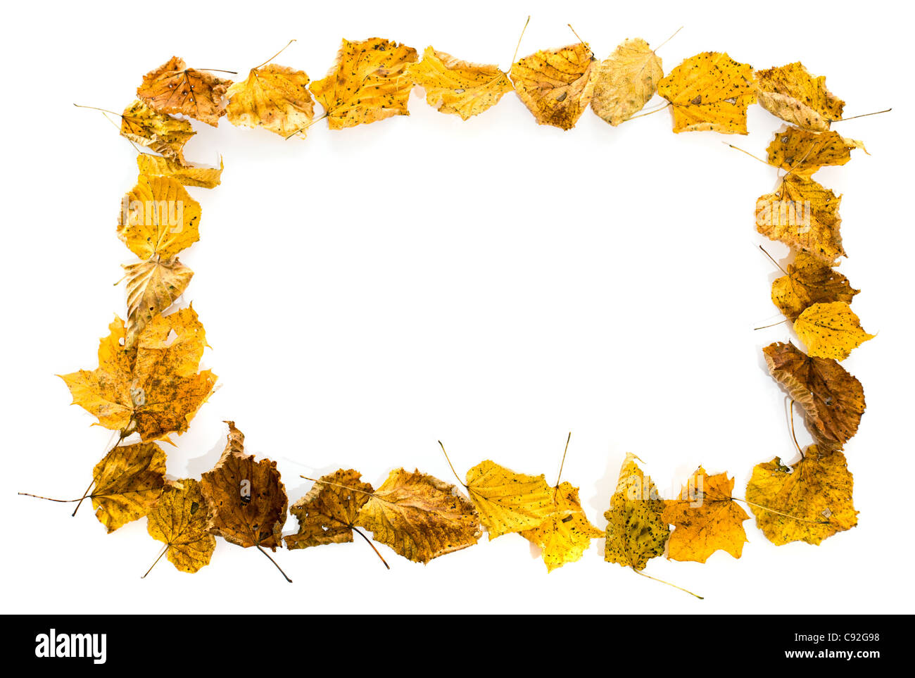 Fallen down autumn leaves Cut Out Stock Images & Pictures - Alamy