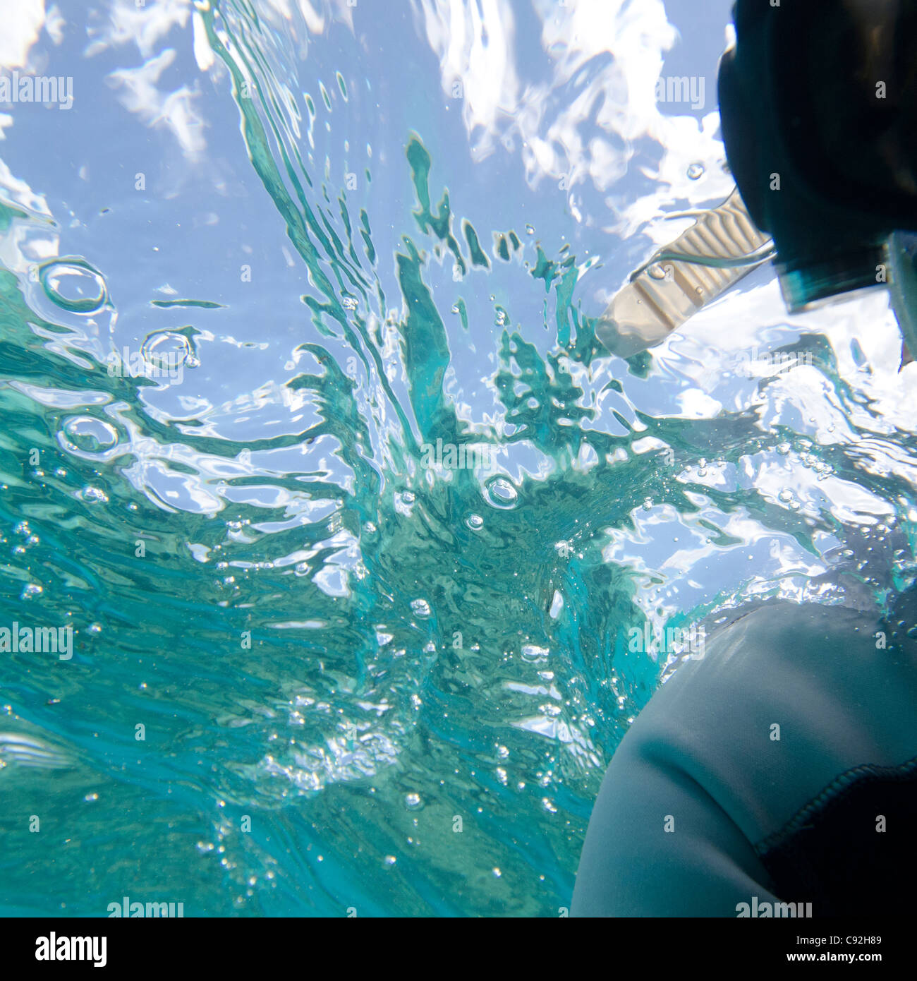 Scuba diver swimming underwater, Gardner Bay, Espanola Island ...