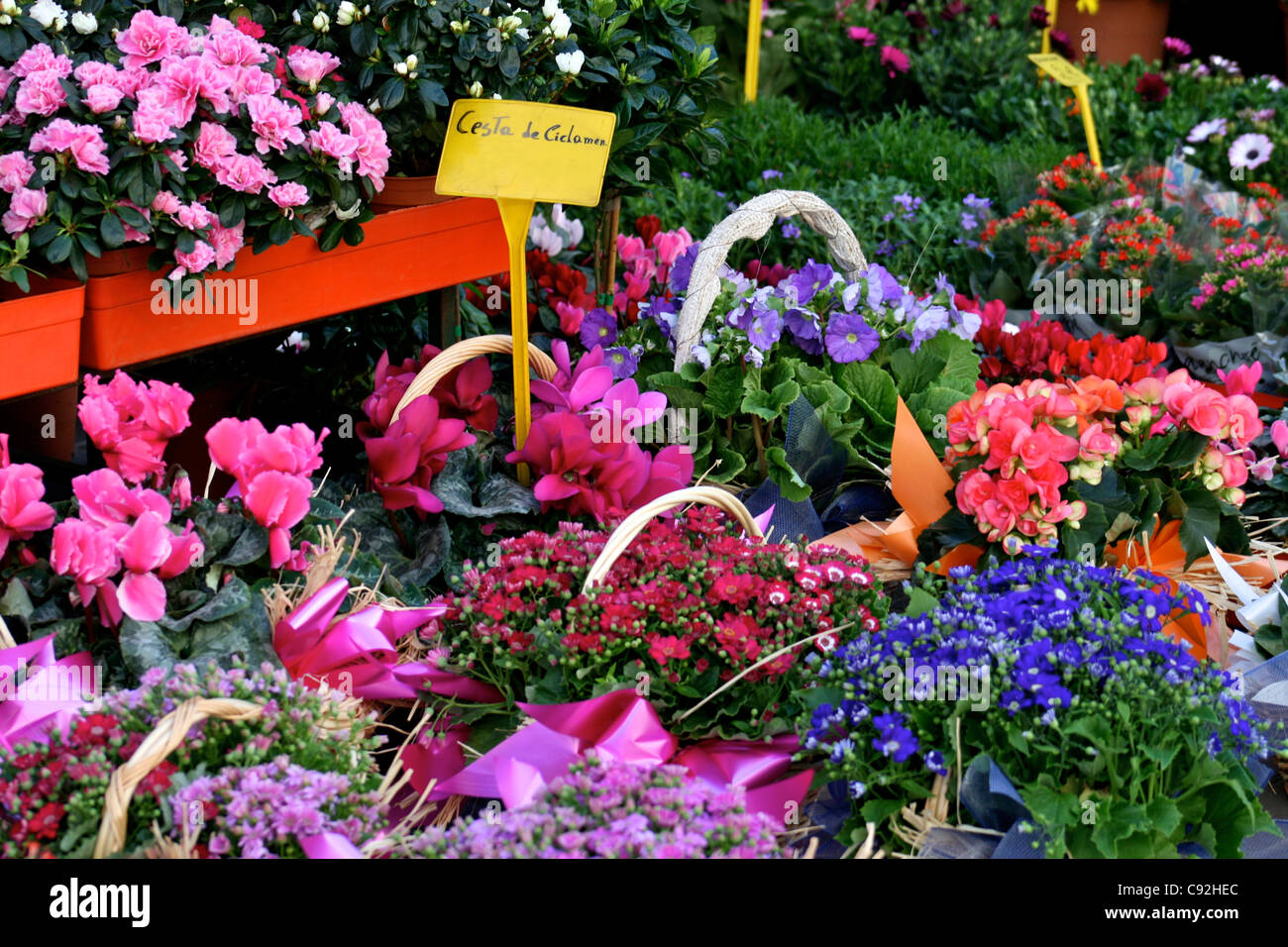 There are florists and markets stalls all along Las Ramblas the main ...
