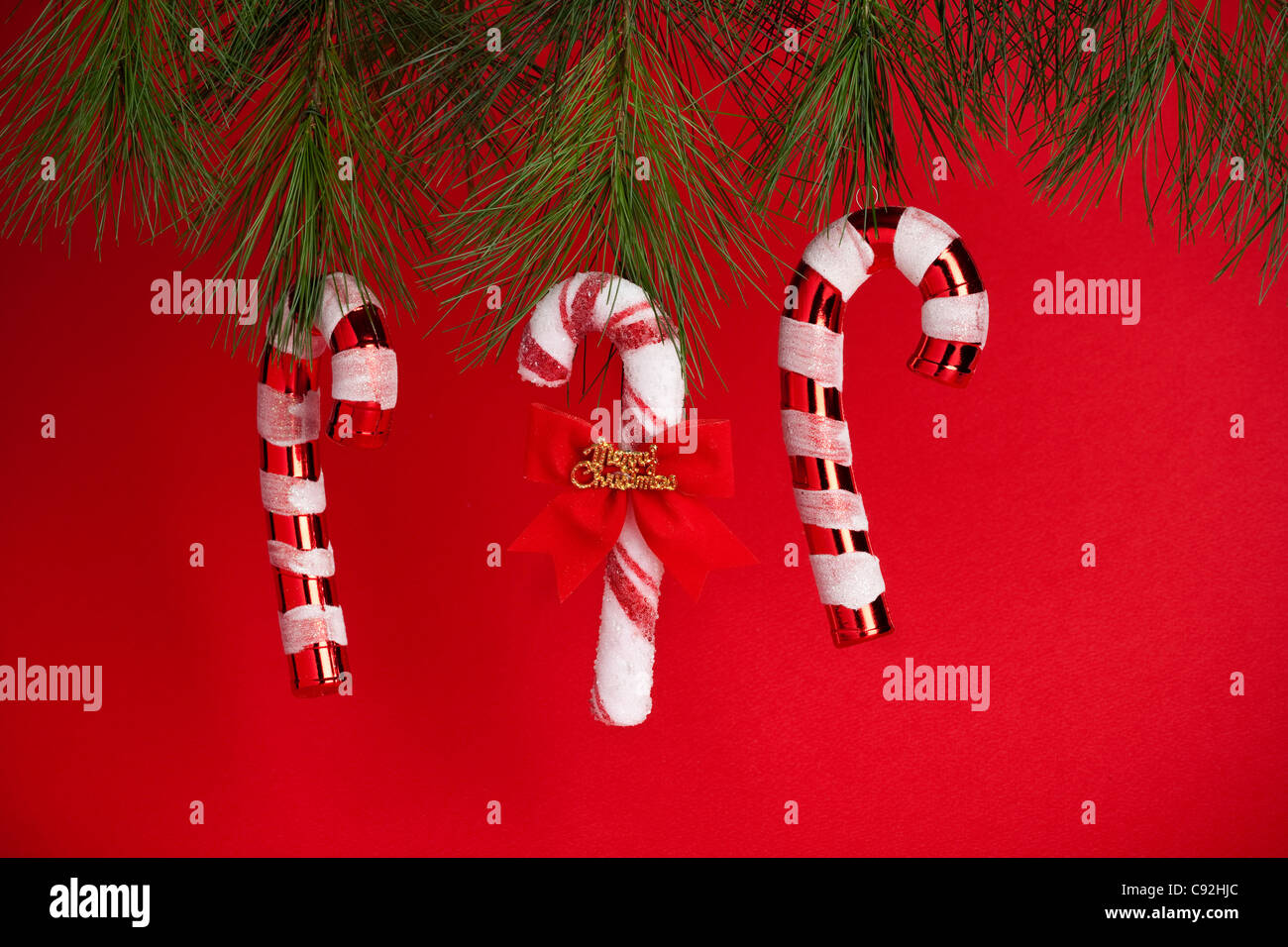 Candy canes on Christmas tree Stock Photo - Alamy
