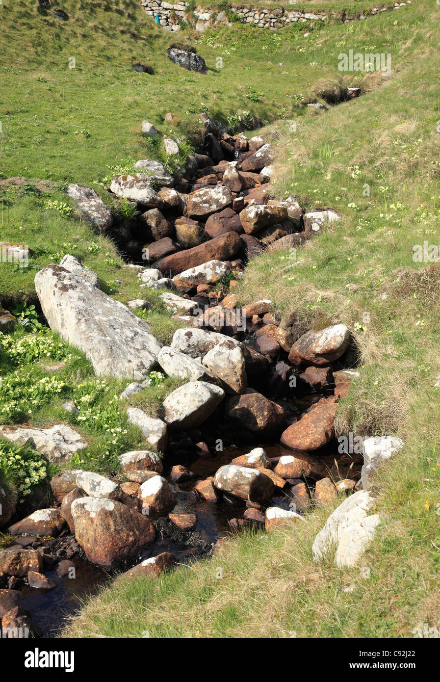 Mingulay is the second largest of the Bishop's Isles in the Outer ...