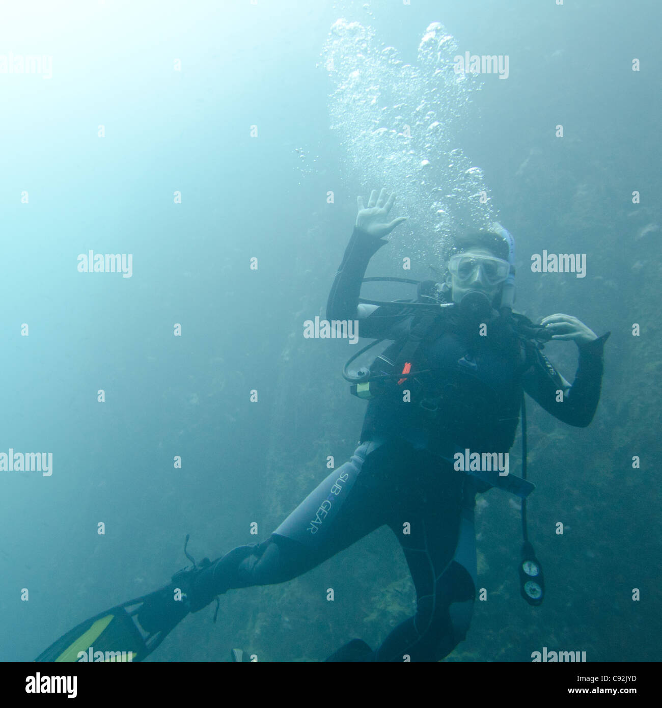 Woman scuba diving underwater, San Cristobal Island, Galapagos Islands ...
