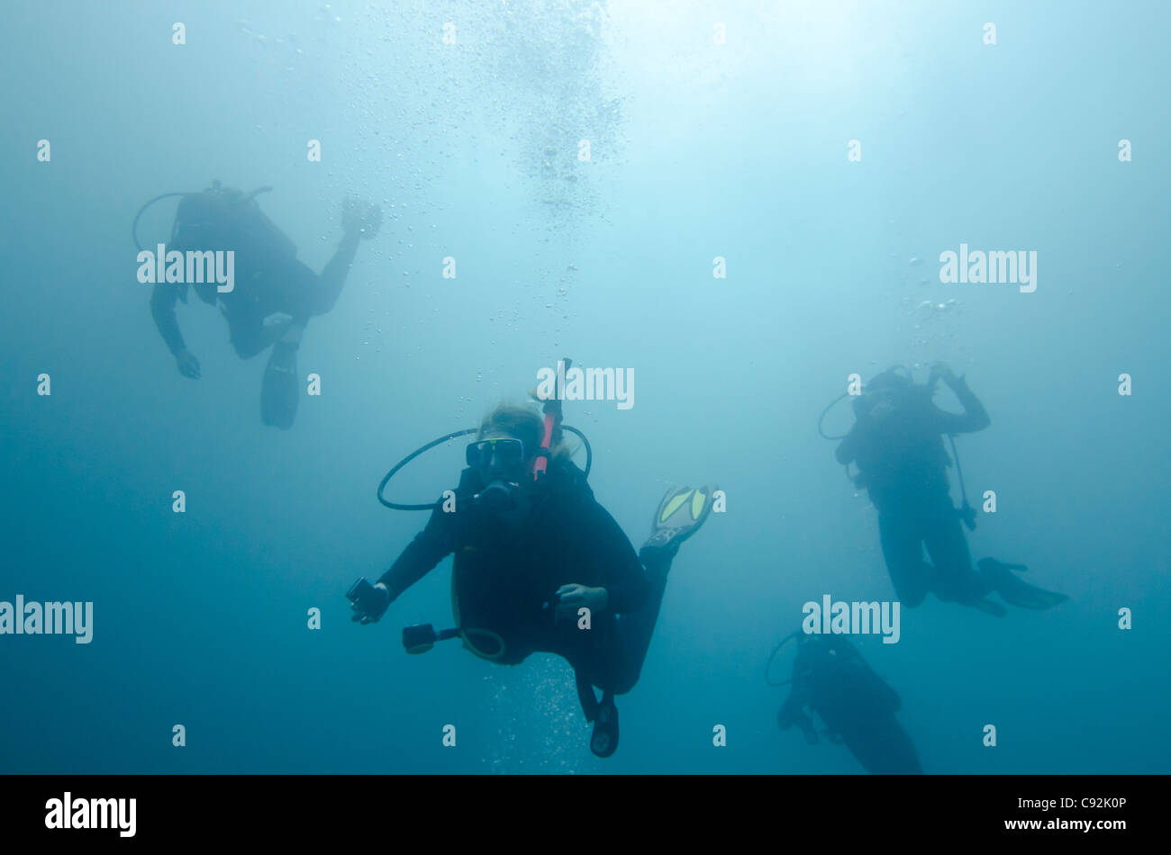 Scuba divers swimming underwater, San Cristobal Island, Galapagos ...