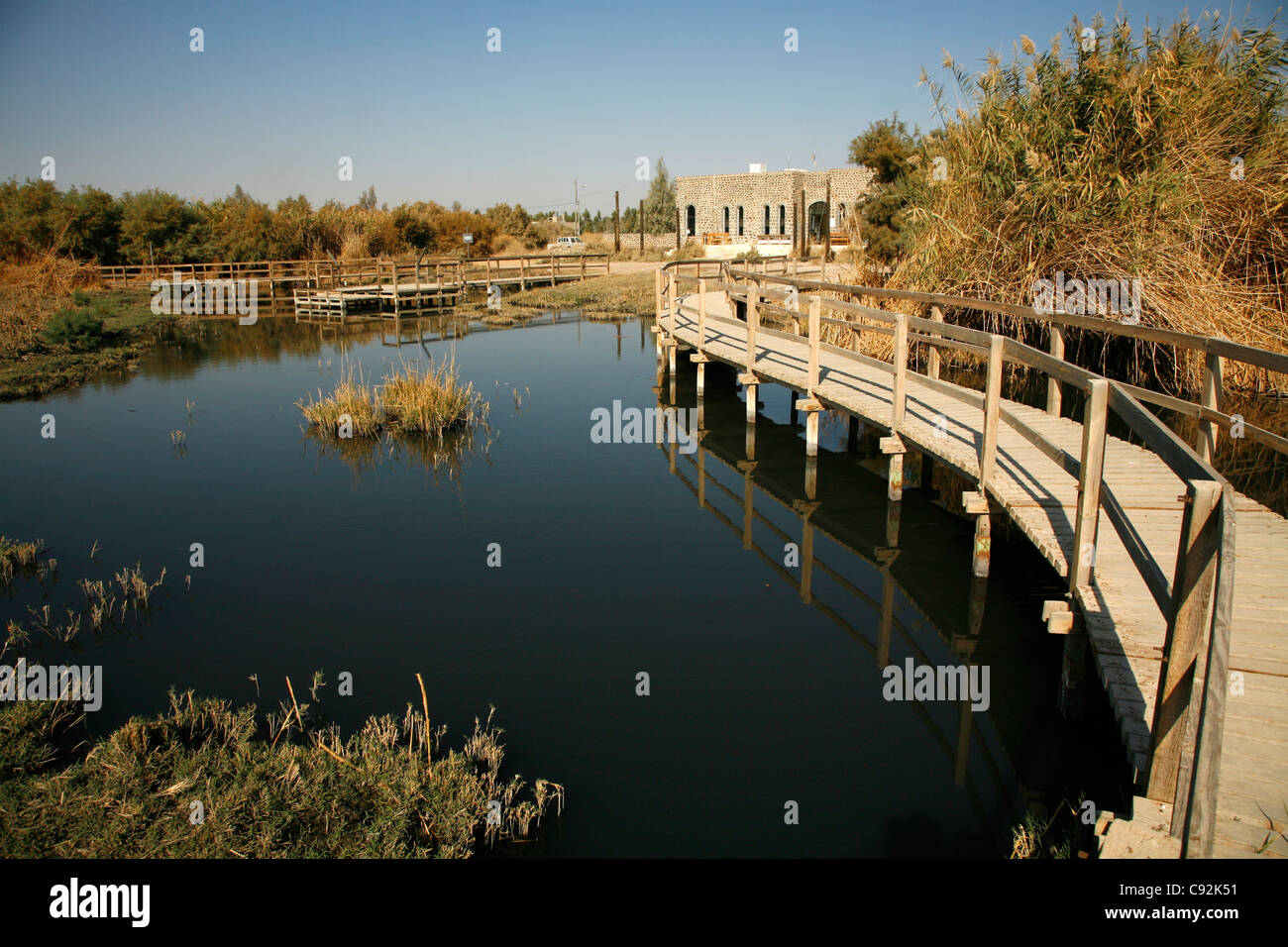 the Azraq Wetland reserve, Azraq, Jordan Stock Photo - Alamy