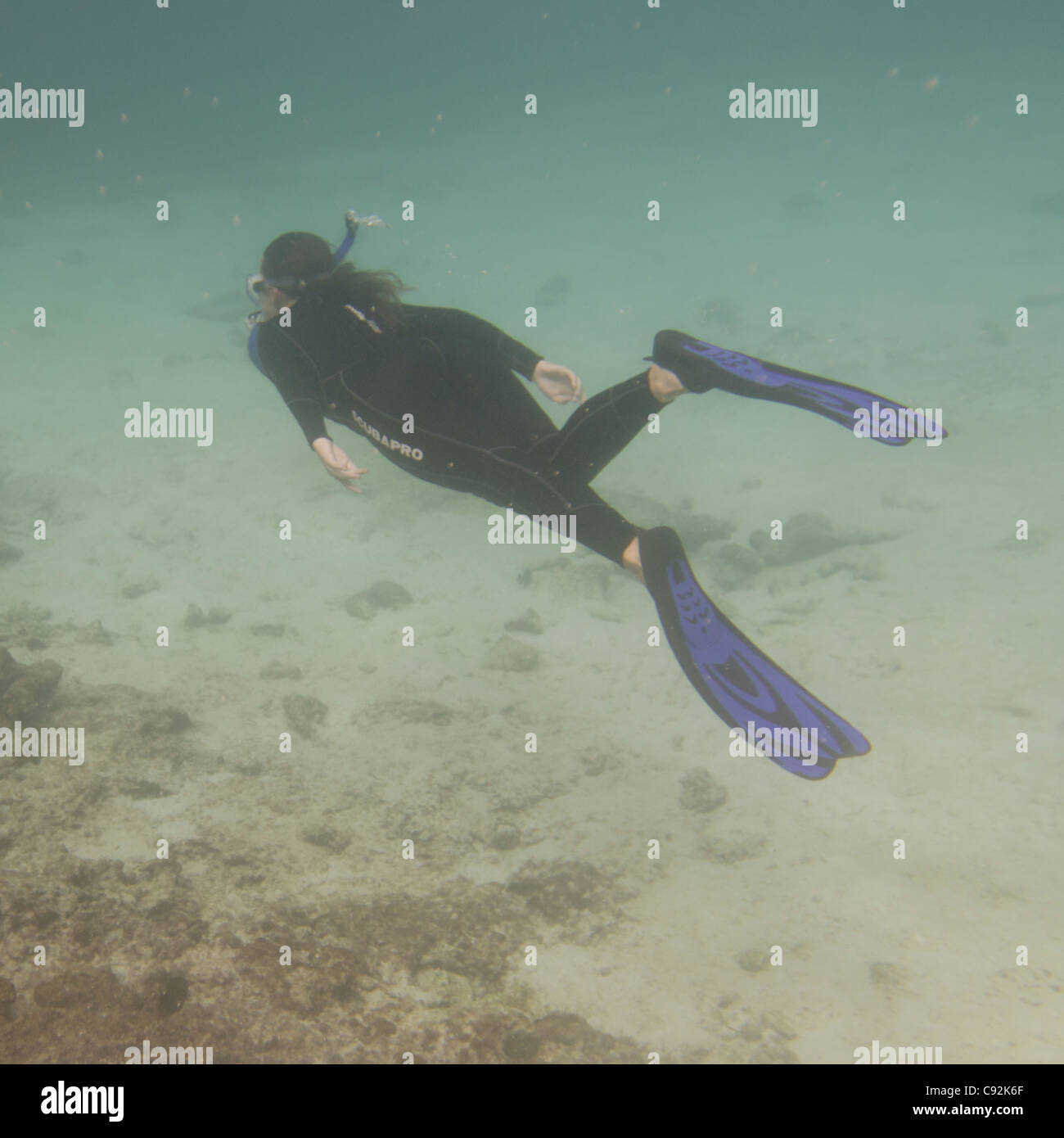 Rear view of woman swimming underwater hi-res stock photography and ...