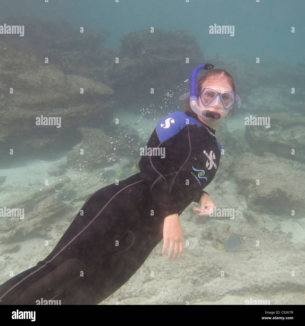 Woman scuba diving underwater, Puerto Egas, Santiago Island, Galapagos ...