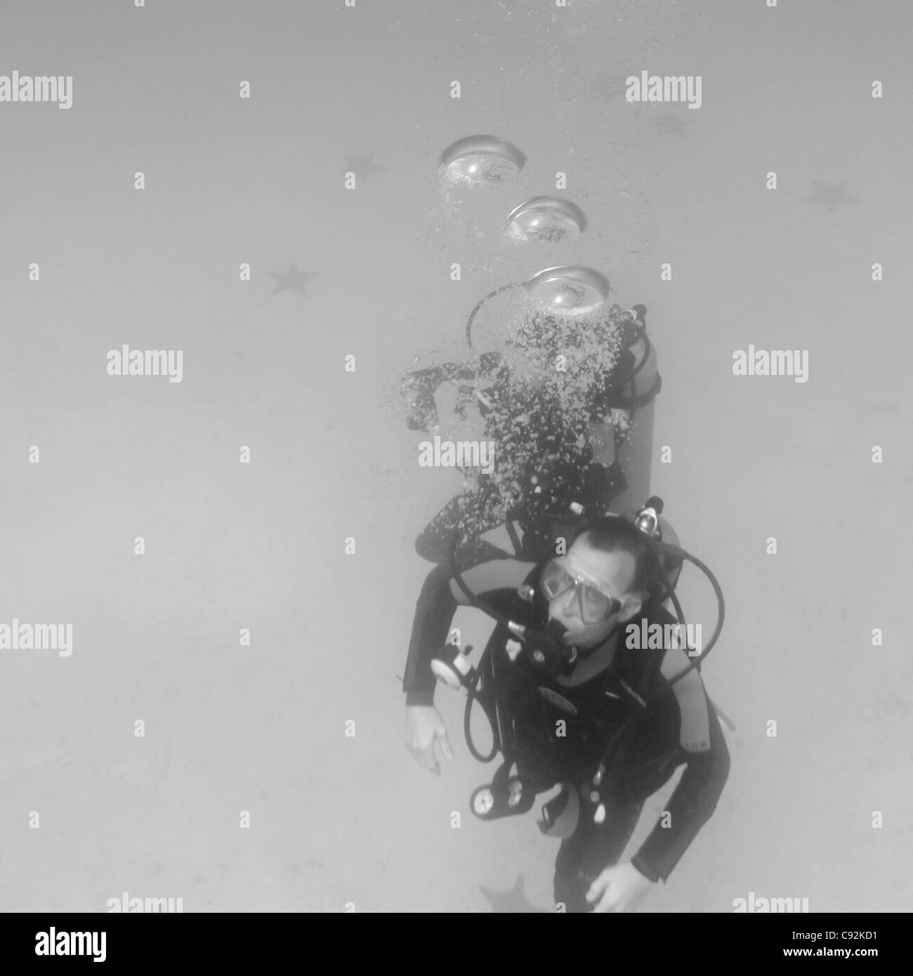Two people scuba diving underwater, Santa Cruz Island, Galapagos ...