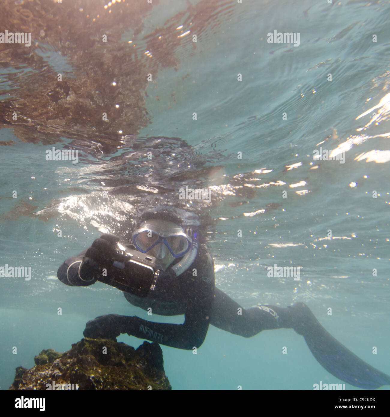 Scuba diver photographing underwater, Gardner Bay, Espanola Island ...
