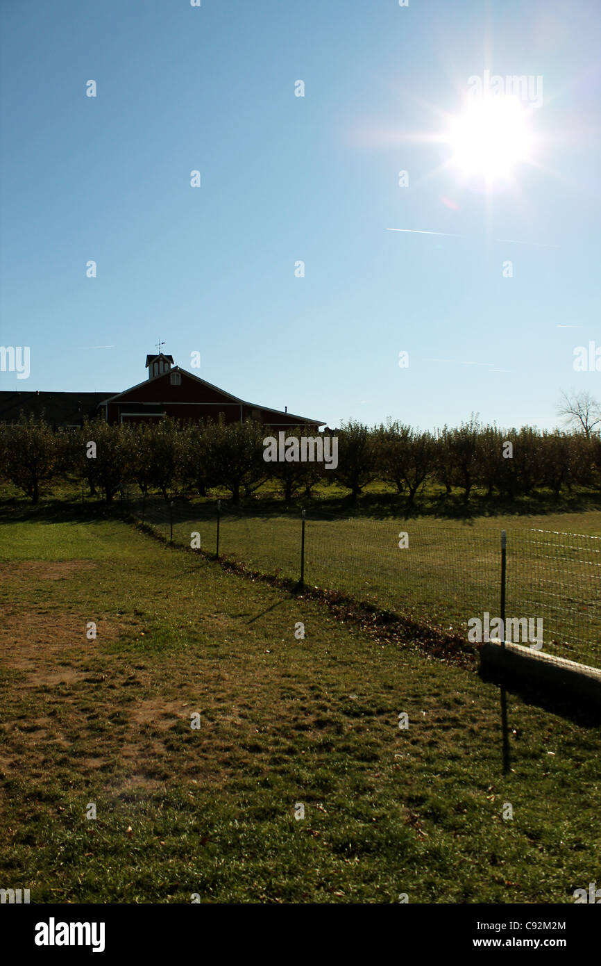 Blue sky red barn fall trees hi-res stock photography and images - Alamy